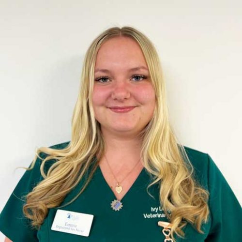 Meet The Team - Ivy Lodge Veterinary Clinic